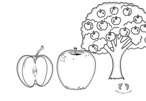 Elma ağacı boyama-elma boyaması-apple coloring - Didiyom Tv