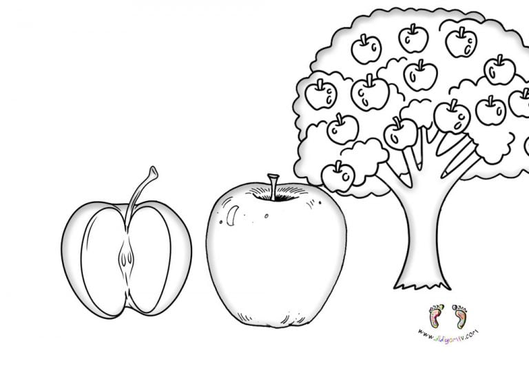 Elma ağacı boyama-elma boyaması-apple coloring - Didiyom Tv